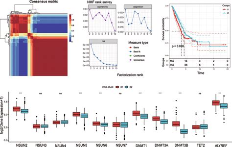 Identification Of M 5 C Modified Subtypes A Consensus Map Of Nmf