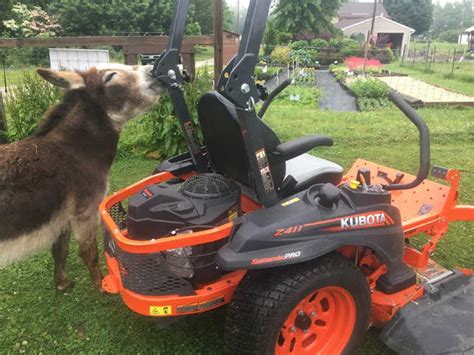 Kubota Zero Turn Mowers | atelier-yuwa.ciao.jp