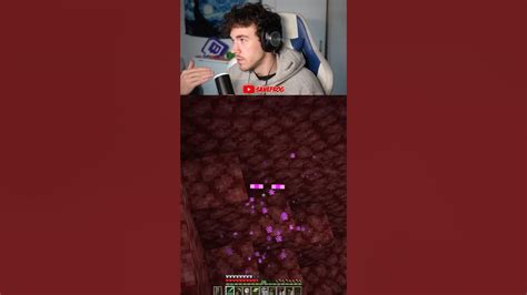 Enderman Was Slightly Confused Minecraft Youtube