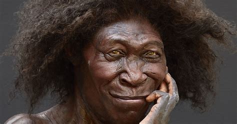 One Prehistoric Species Made Us Human