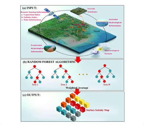 Structure And Specific Schematics Of The Random Forest Model Based On