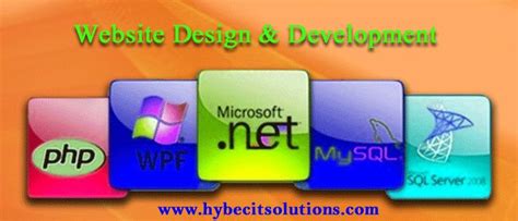 website export and hosting services