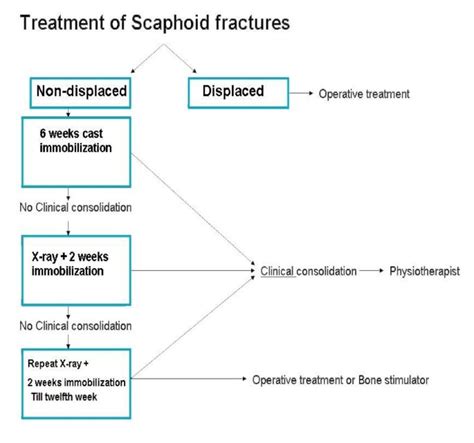 Diagnosis And Management Of Scaphoid Fractures Aafp My Xxx Hot Girl