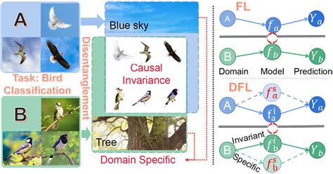 Taking Bird Classification As An Example To Illustrate The Principle Of Download Scientific