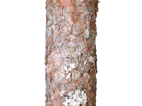 Artificial Weeping Cypress Tree Faux Tree Decor Commercial Silk