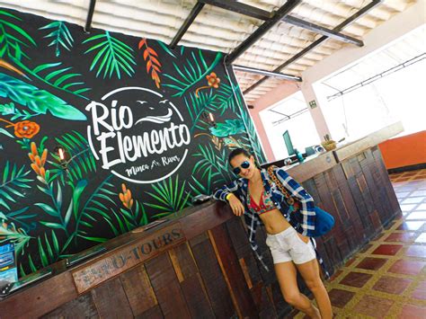 무료 이미지 자연스러운 낙서 벽화 식물 여가 거리 미술 4608x3456 Adolfoteranteller 1608455 무료 이미지 Pxhere