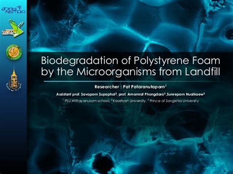 The Biodegradation Of Polystyrene