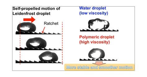 Self Propelled Polymeric Droplet In Leidenfrost State On A Superheated Ratchet Surface