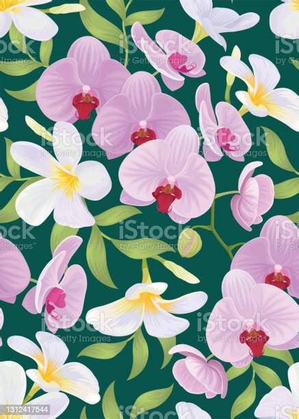 오키 꽃과 깃털 배경 템플릿의 원활한 패턴 웨딩 초대장 인사말 카드 브로셔 배너 및 패션 디자인을위한 꽃 요소의 벡터 세트 0명에 대한 스톡 벡터 아트 및 기타 이미지