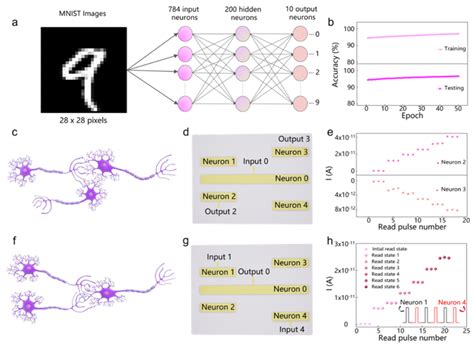 Progress In Neuromorphic Computing