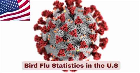 Bird Flu Statistics In The Us 2025 Avian Flu Facts The Global