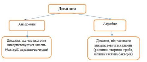 Срочно Скласти порівняльну таблицю типів дихання тварин Дам 30 балов Школьные