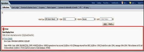 View Display Error In Obiee 11g