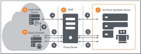 Configure A Proxy For The Synthetic Server