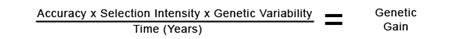 Genetic Evaluation System The Bullvine The Dairy Information You