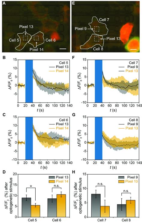 Figure S7 Additional Two Experiments To Evaluate The Spatial