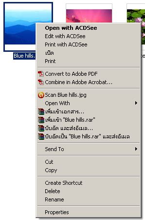 WeB LoG S JuUiER February 2011