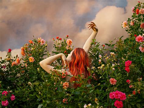 Rose Bathing Michael Reid