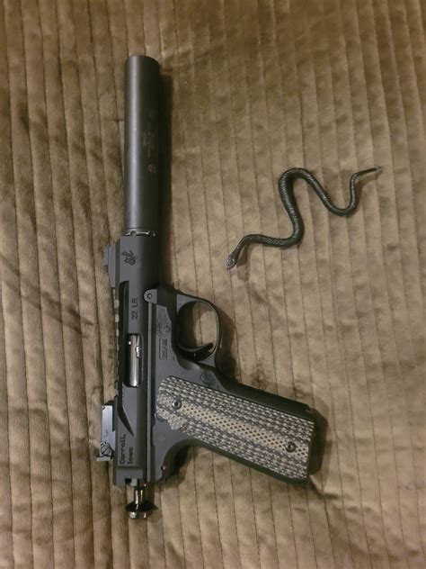 Mini Mamba Monday Rruger