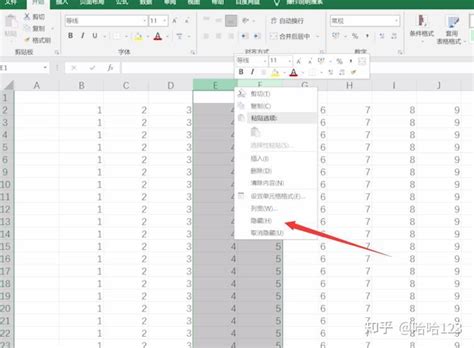 excel如何隐藏单元格 知乎