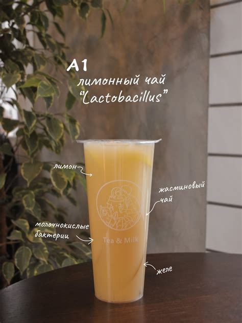 Панда бел. Кафе Панда Витебск. Китайская еда в Витебске. Купить ...