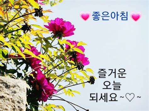 잠재의식의 힘 네이버 블로그