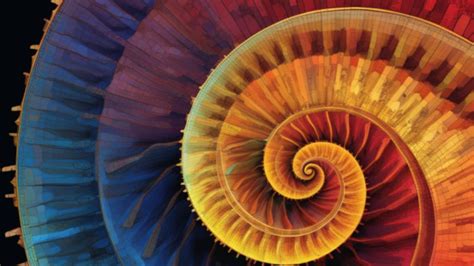 Understanding Fibonacci A Technical Analysis Tool For Forex Trading