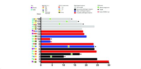 Swimmer Plot Of Pfs In The Modified Intention To Treat Population N