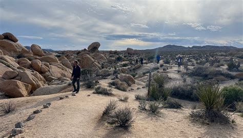 Heart Rock All You Should Know Before Going 2026 With Reviews