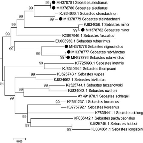 Sebastes Phylogeny Inferred Using The Minimum Evolution Me Method Download Scientific
