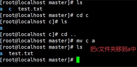小白学习linux第三天linux基础命令 一 （保姆教学） csdn博客
