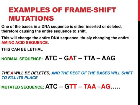 Ppt Dna Mutations And Genetics Powerpoint Presentation Free Download