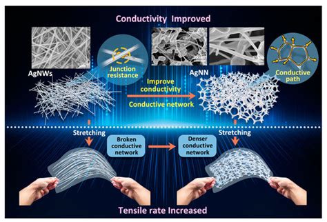 In Situ Silver Nanonets For Flexible Stretchable Electrodes