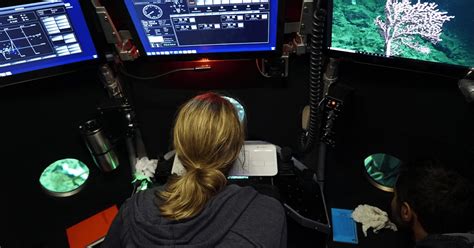 Deep Sea Sensor Reveals That Corals Produce Reactive Oxygen Species