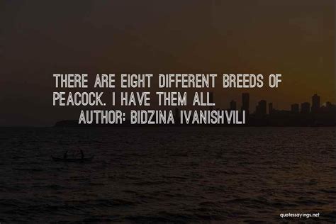 Top 8 Hyper Focused Synonym Quotes And Sayings