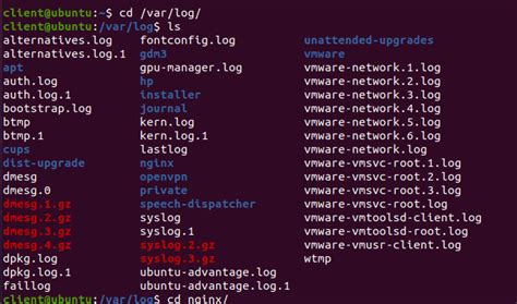 Intégration de Filebeat avec NGINX