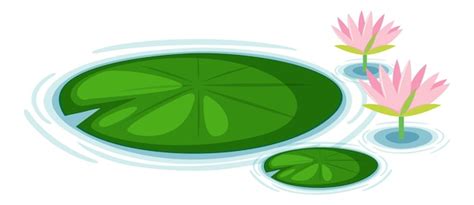 Cartoon Lily Pad