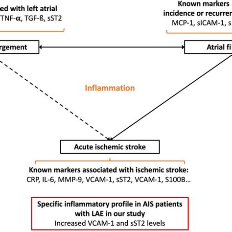 Schematic Summarizing The Main Link Between Atrial Fibrillation Left Download Scientific