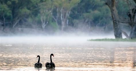 Protect The Murray Darling Basin