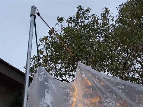 Protect Your Trees And Plants With The Tree Cover Cap System Fruit Shield