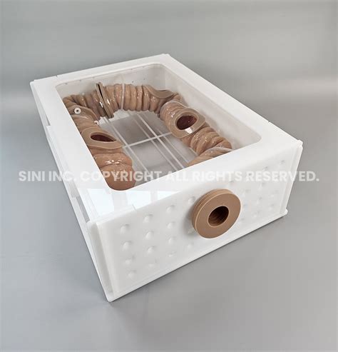 Colonoscopy Trainer Sini Medical Simulation