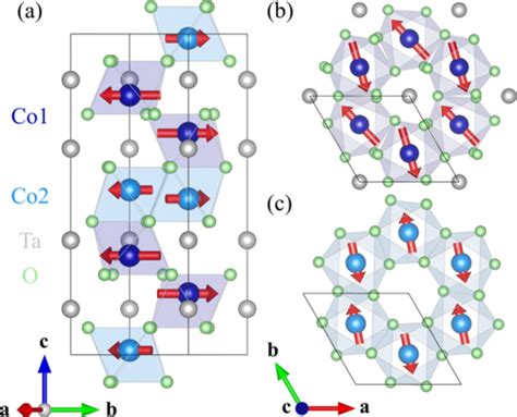 Isis Noncollinear Magnetic Order Of A New Magnetoelectric Material