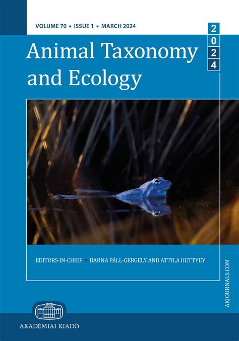 review of the genus dengitha reitter 1887 coleoptera tenebrionidae