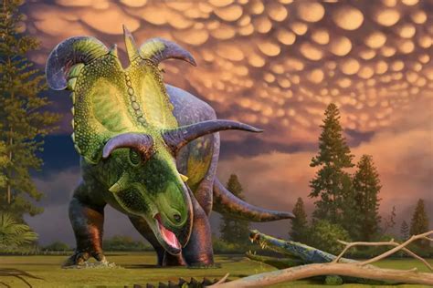 Meet Lokiceratops The Dinosaur With The Wildest Horns Ever Discovered Named After The