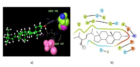 A Stigmasta 5 22 Dien 3 Ol Residues And Hydrogen Bond Contacts With