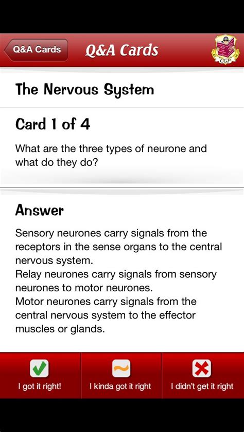The Types Of Neurone Science Revision Gcse Science What Are Vegetables