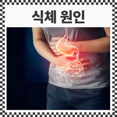 식체 원인 소화불량 어지러움 복통 구토 증상 네이버 블로그