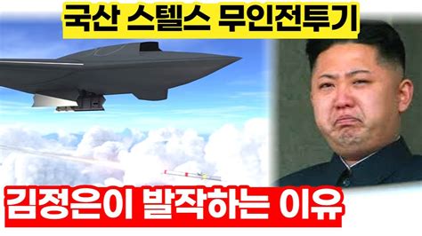 김정은이 미사일을 쏘며 도발하는 충격적인 이유 국산 스텔스 무인전투기 개발 2030년까지 개발완료 후 실전배치 예정 북괴군이 벌벌 떨며 발작할 수밖에 없는 이유