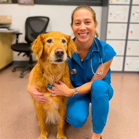 Cat And Dog Wellness Plans In Florida Forever Vets