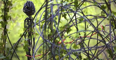 Introduction From Reciprocity To Relationality Society For Cultural Anthropology